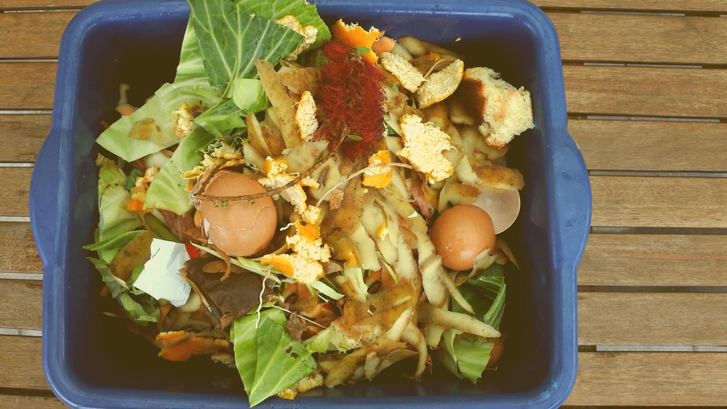 Experiment zeigt: Das ist der Grund, wieso wir Lebensmittel wegwerfen ...